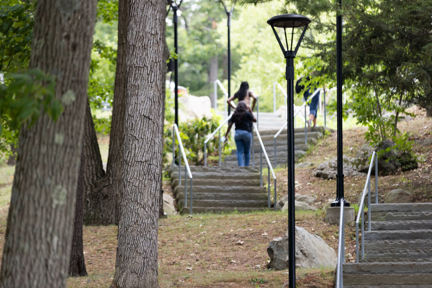 The Achieve Program - We Achieve Tomorrow's Dreams Today